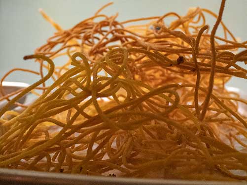 Photos - Vero Beach Restaurant | River Twist Food and Wine Restaurant